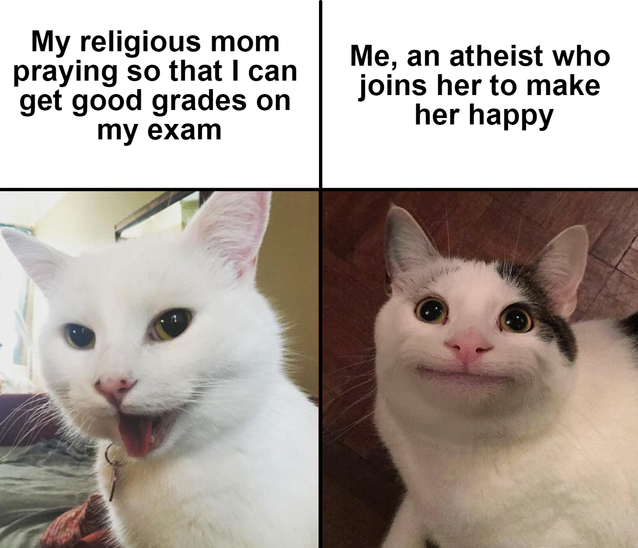 Sometimes it's not about beliefs, it's about other's happiness | /r ...