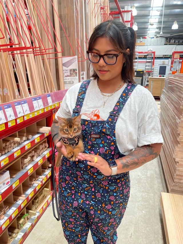 Taking the Cat on Errands | Know Your Meme