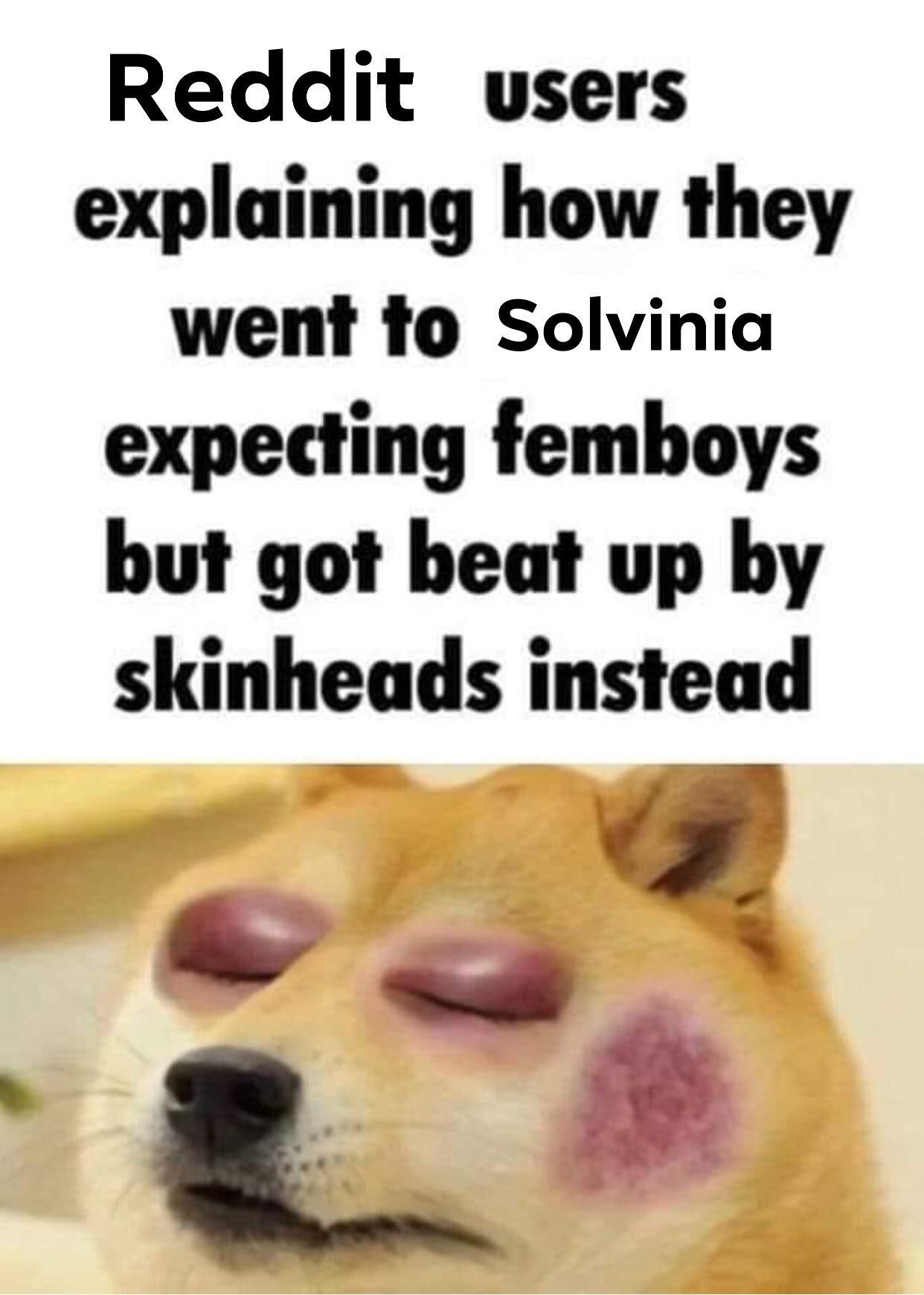 r/2balkan4you/top/ | Balkan Memes | Know Your Meme