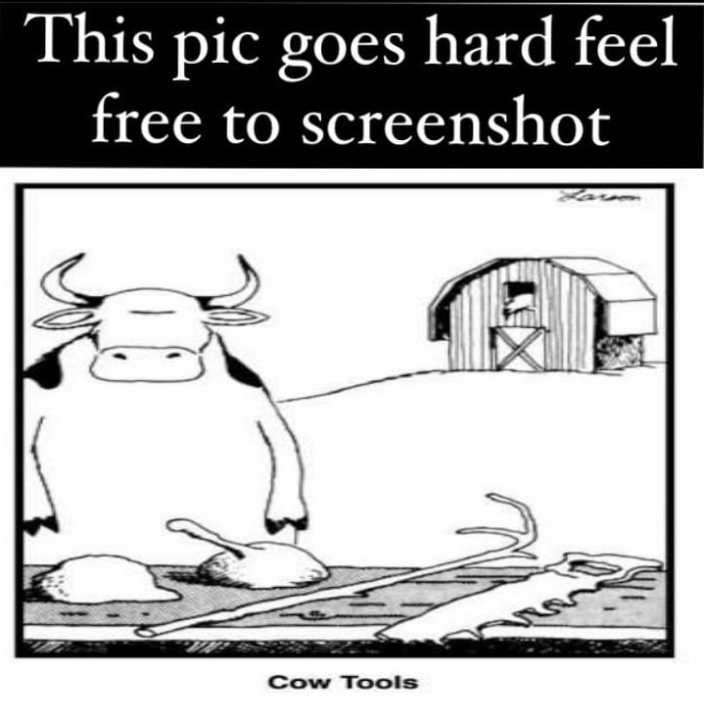 Cow Tools meme | Cow Tools | Know Your Meme