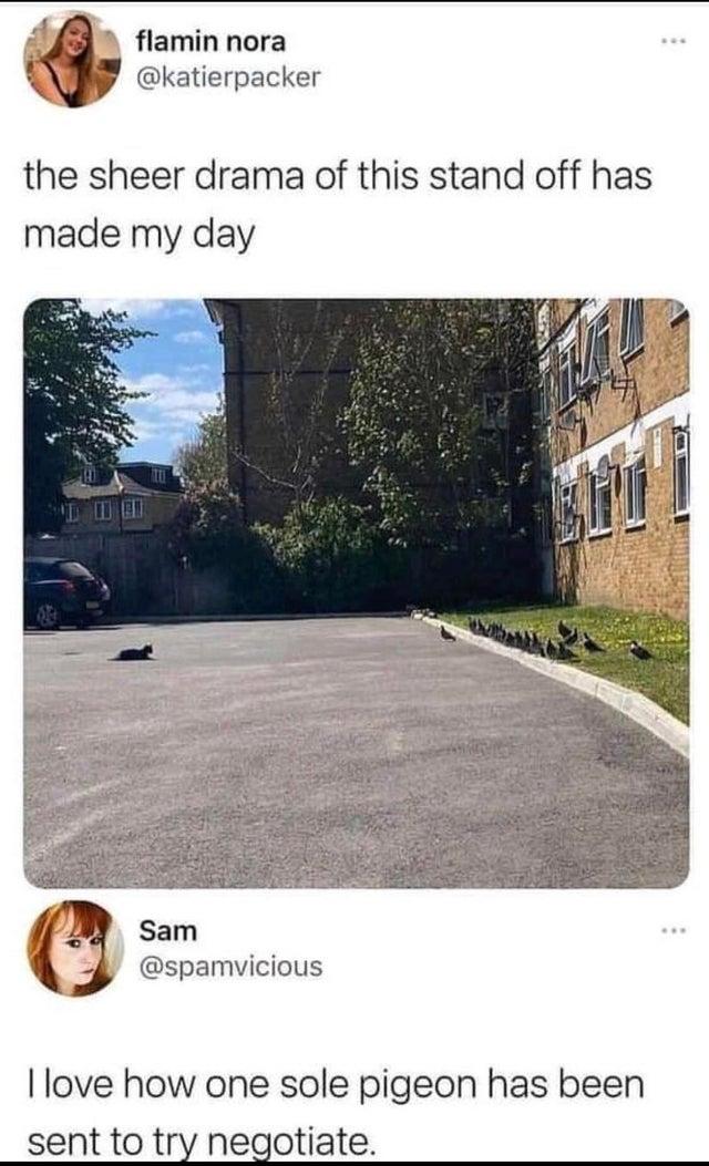 Slayer of All Birds | Boss Fight | Know Your Meme