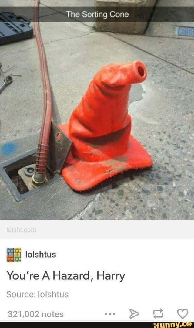 Hazard | Harry Potter | Know Your Meme