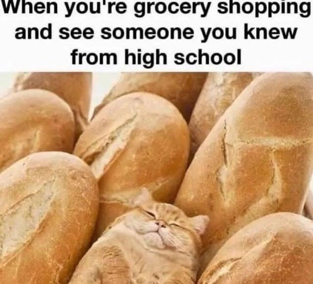 I'm Not Here | Cats | Know Your Meme