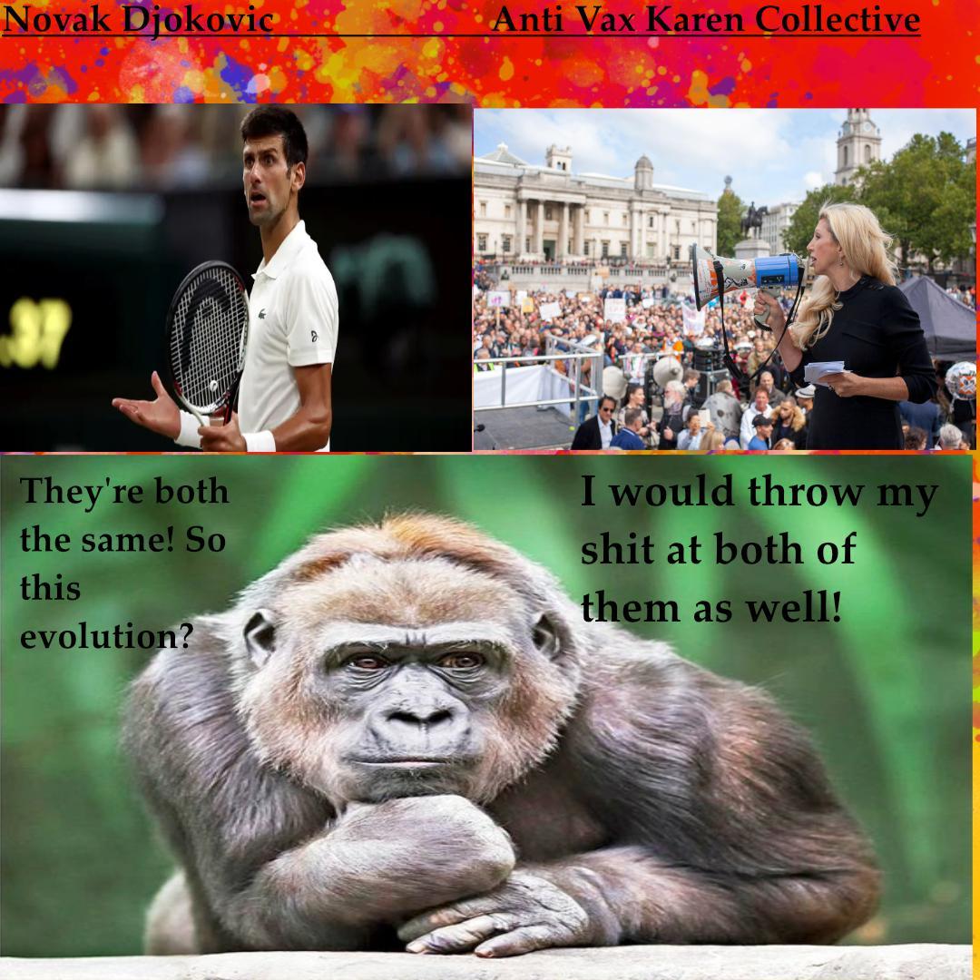 Novak VS No Vaxs | /r/FuckYouKaren | Karen | Know Your Meme