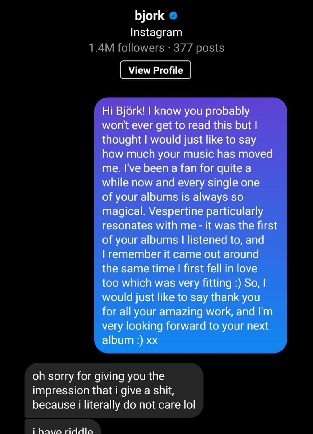 Björk Doesn't Care If You're A Fan - She Has Riddle | Björk's Riddle ...