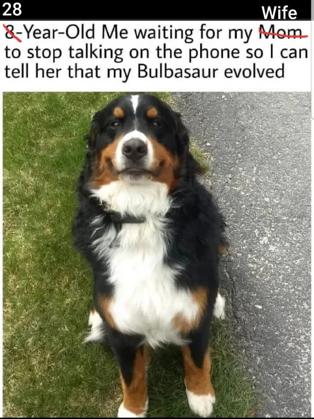 Fixed It | Pokémon | Know Your Meme