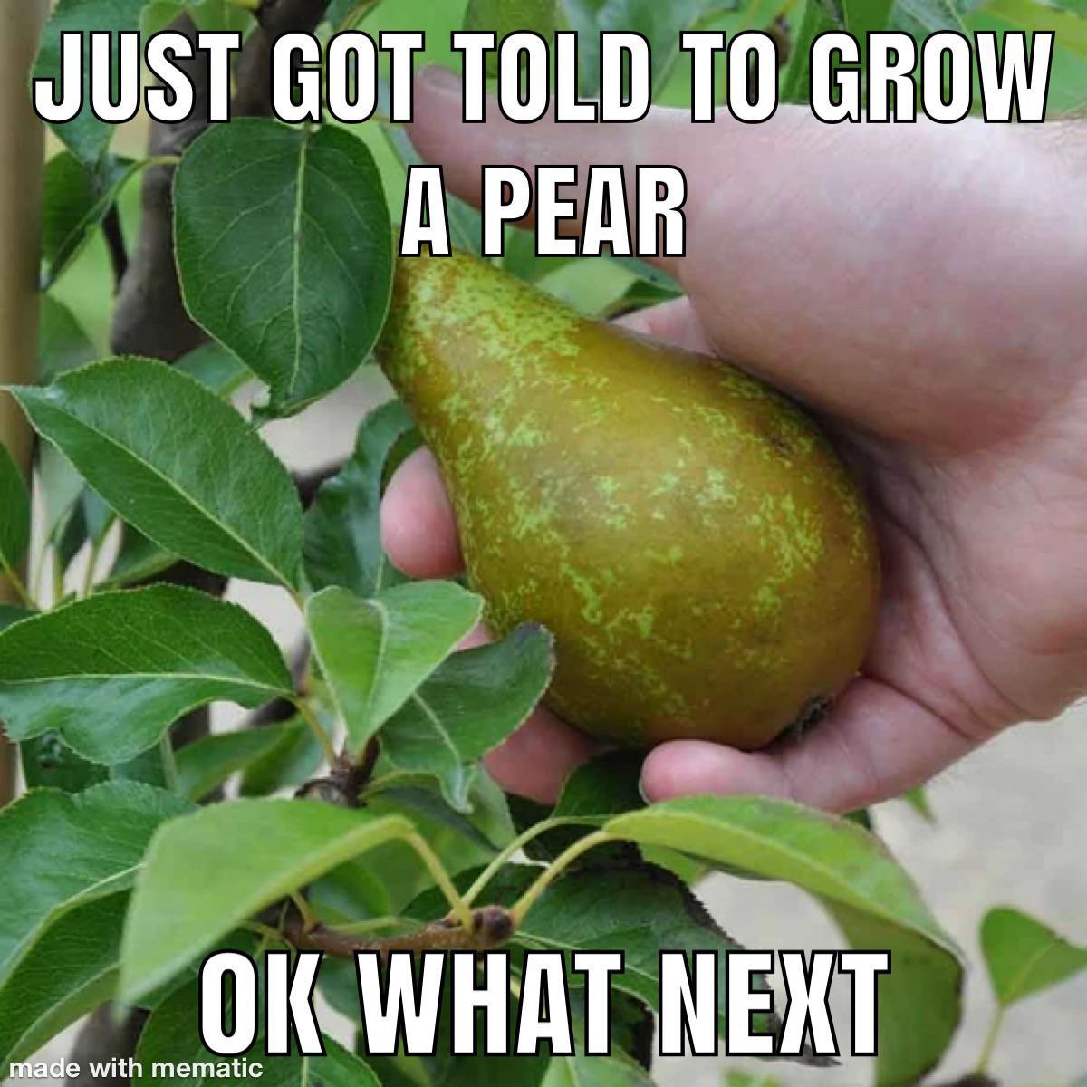 i dont understand the point of this (i don’t even like pears ) | /r ...