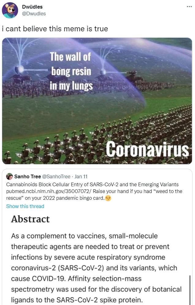 i cant believe this meme is true | COVID-19 Pandemic | Know Your Meme