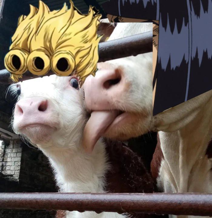 This is the taste of a liar!! | /r/ShitPostCrusaders/ | JoJo's Bizarre ...