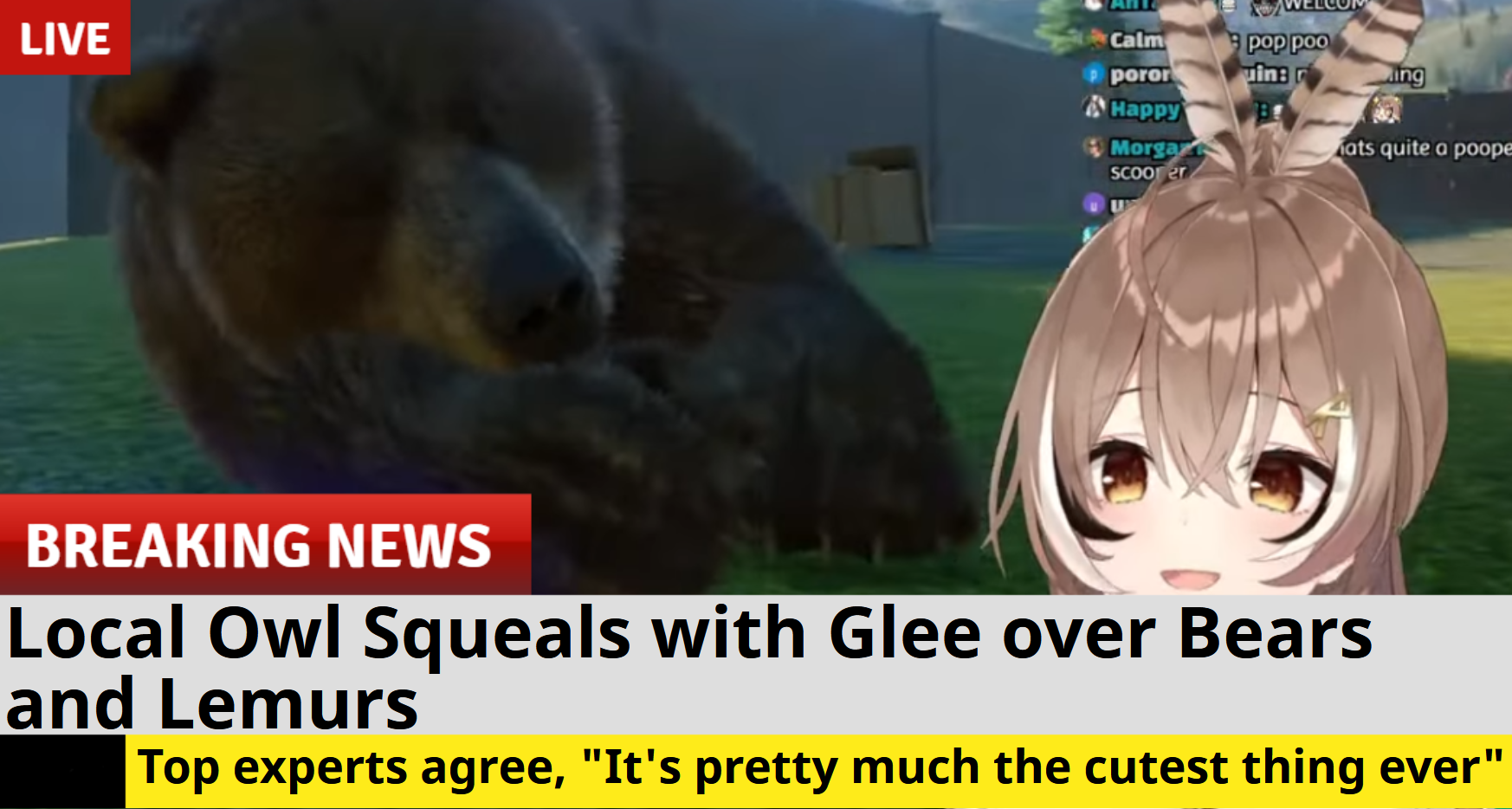 Mumei's Planet Zoo streams in a nutshell | Hololive | Know Your Meme