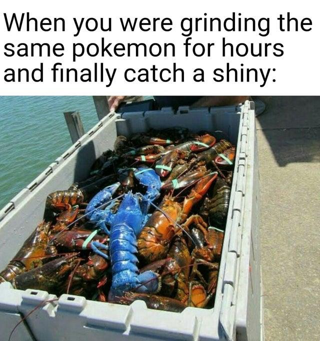 Took Long Enough | /r/Memes | Know Your Meme