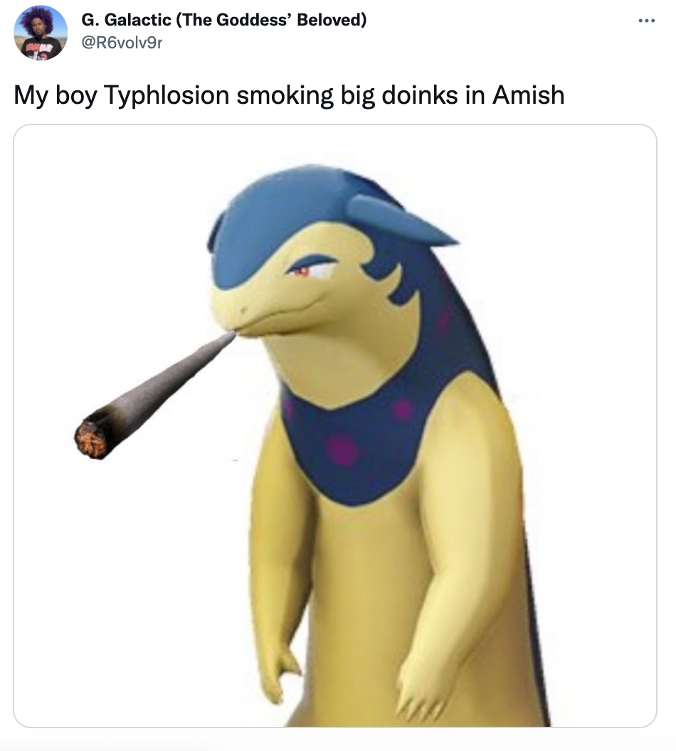 Big Doinks | Stoned Typhlosion | Know Your Meme