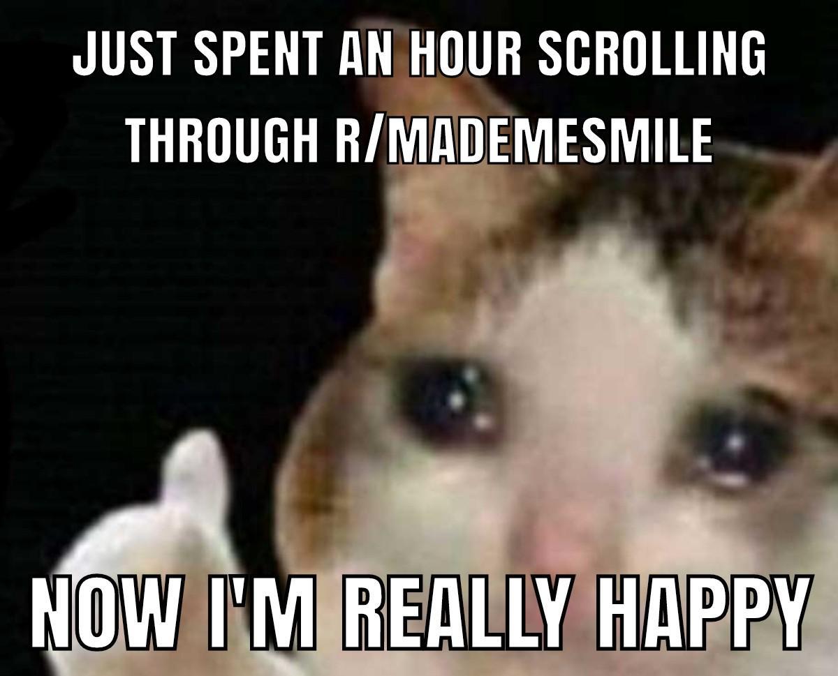 Sometimes you need a good cry to cheer yourself up | /r/wholesomememes ...