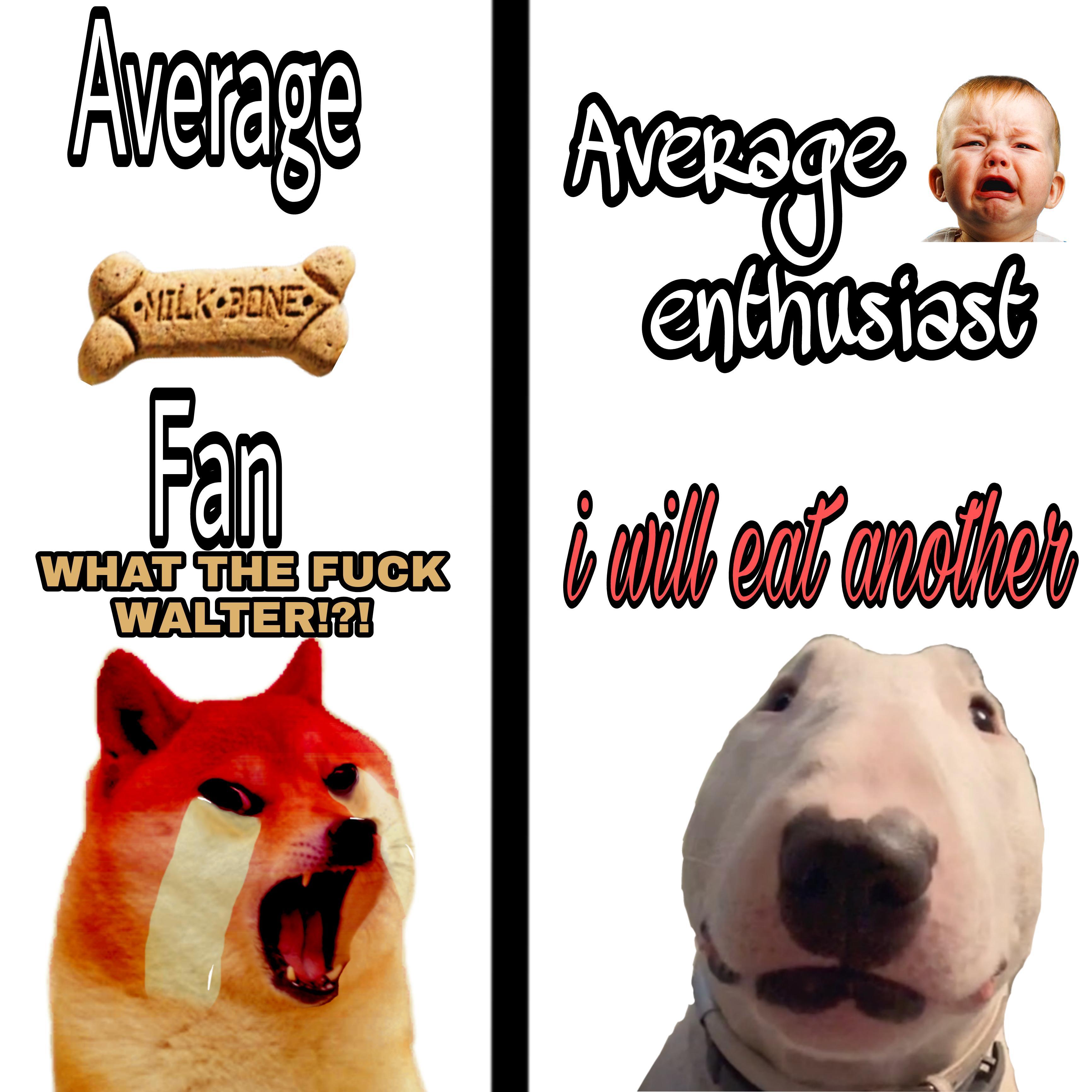 chud doge vs enlightened Walter | /r/dogelore | Ironic Doge Memes ...