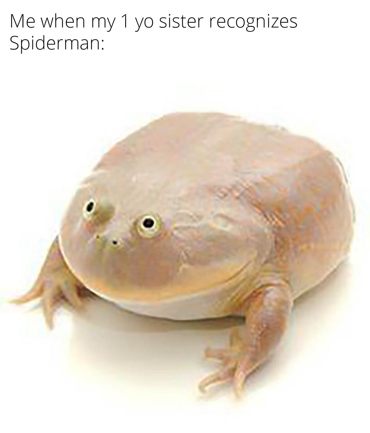I am Happy frog | /r/wholesomememes | Wholesome Memes | Know Your Meme