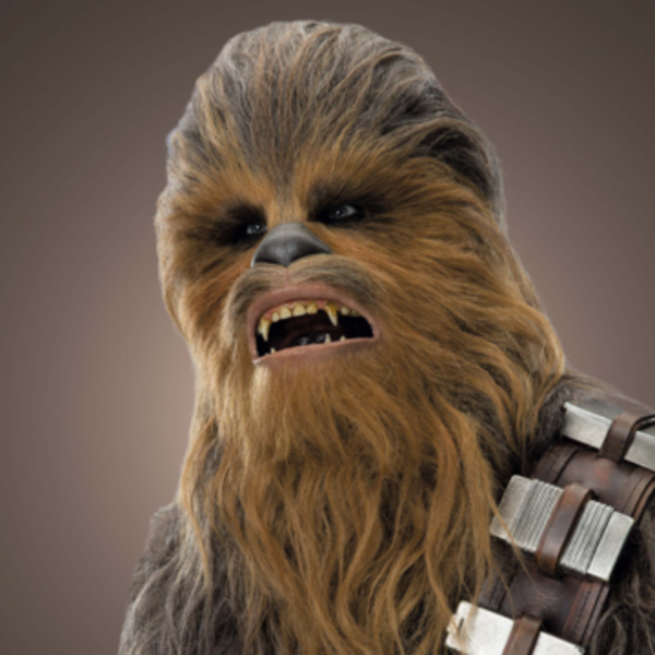 Chewbacca | Know Your Meme