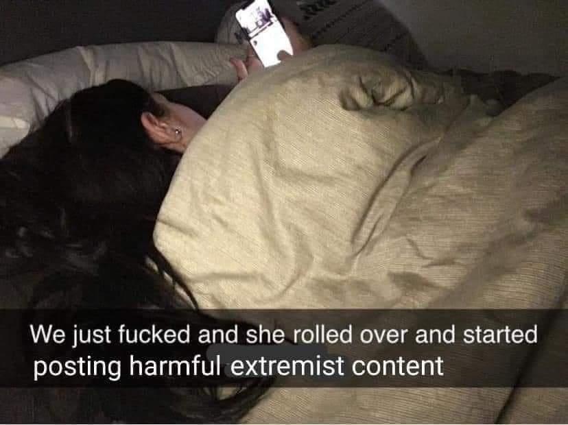 Harmful Extremist Content meme | Harmful Extremist Content | Know Your Meme