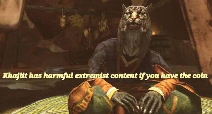 Harmful Extremist Content meme | Harmful Extremist Content | Know Your Meme