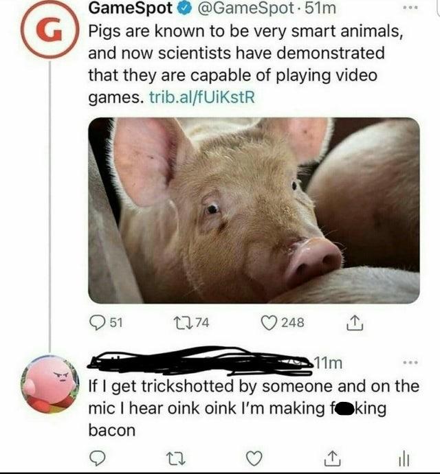 Oink Oink | Shitposting | Know Your Meme