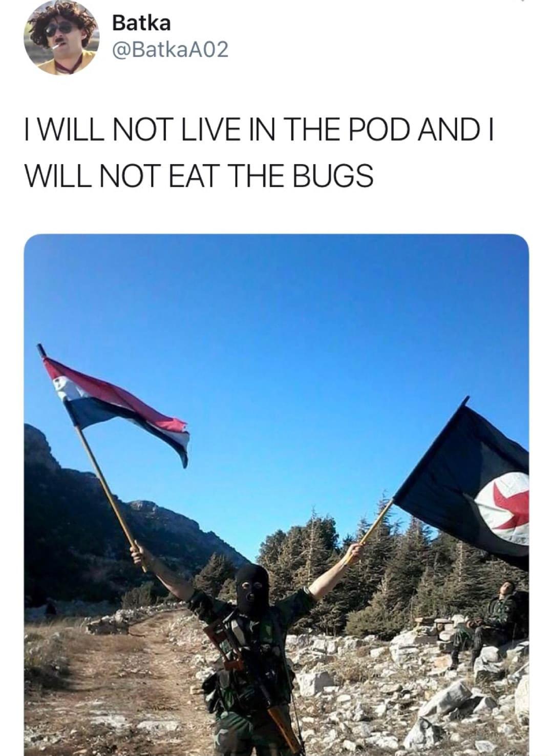 eat the bugs | I Will Not Eat the Bugs | Know Your Meme
