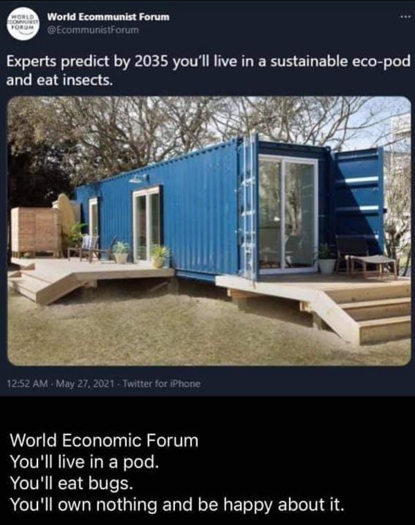 eat the bugs | I Will Not Eat the Bugs | Know Your Meme