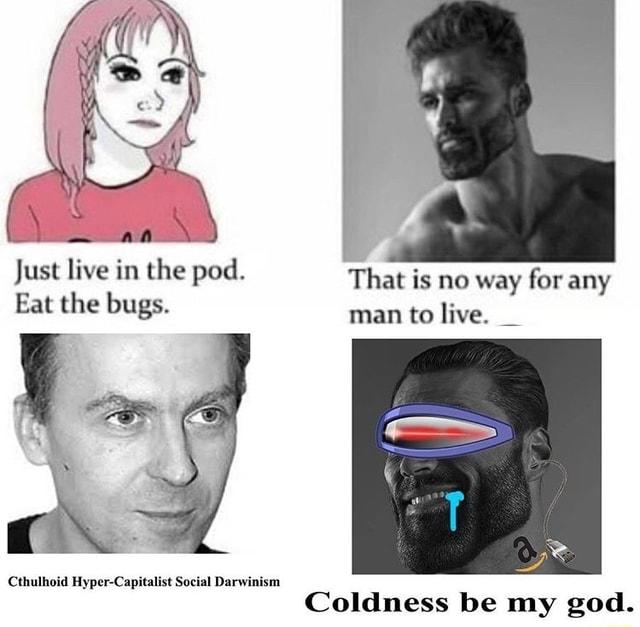 eat the bgus | I Will Not Eat the Bugs | Know Your Meme