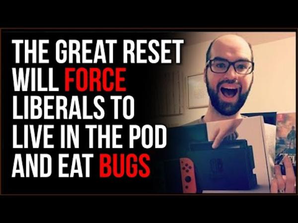 eat the bugs | I Will Not Eat the Bugs | Know Your Meme