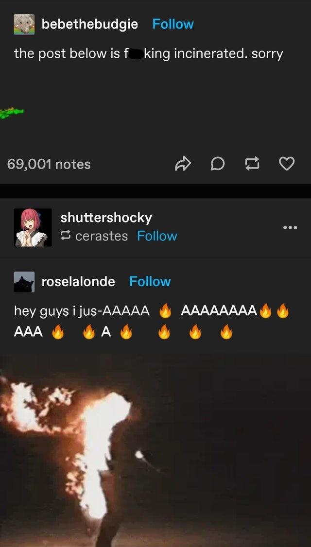 Incinerated | Know Your Meme