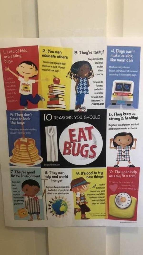 10 Reasons you should eat bugs | I Will Not Eat the Bugs | Know Your Meme