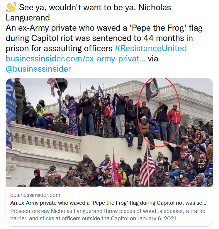 An ex-Army private who waved a 'Pepe the Frog' flag during Capitol riot ...