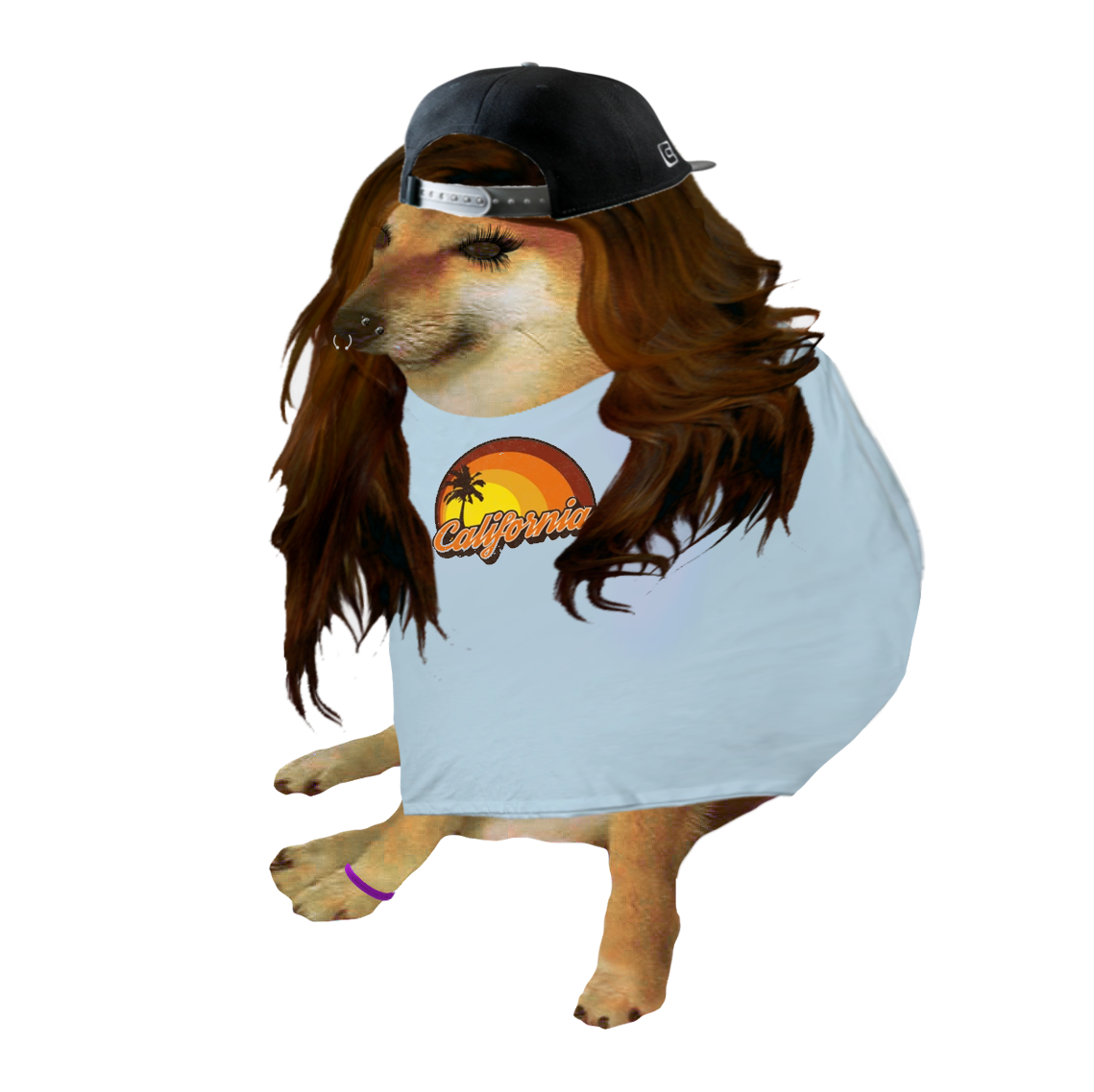 Le Skater Girl Cheems has arrived | /r/dogelore | Ironic Doge Memes ...