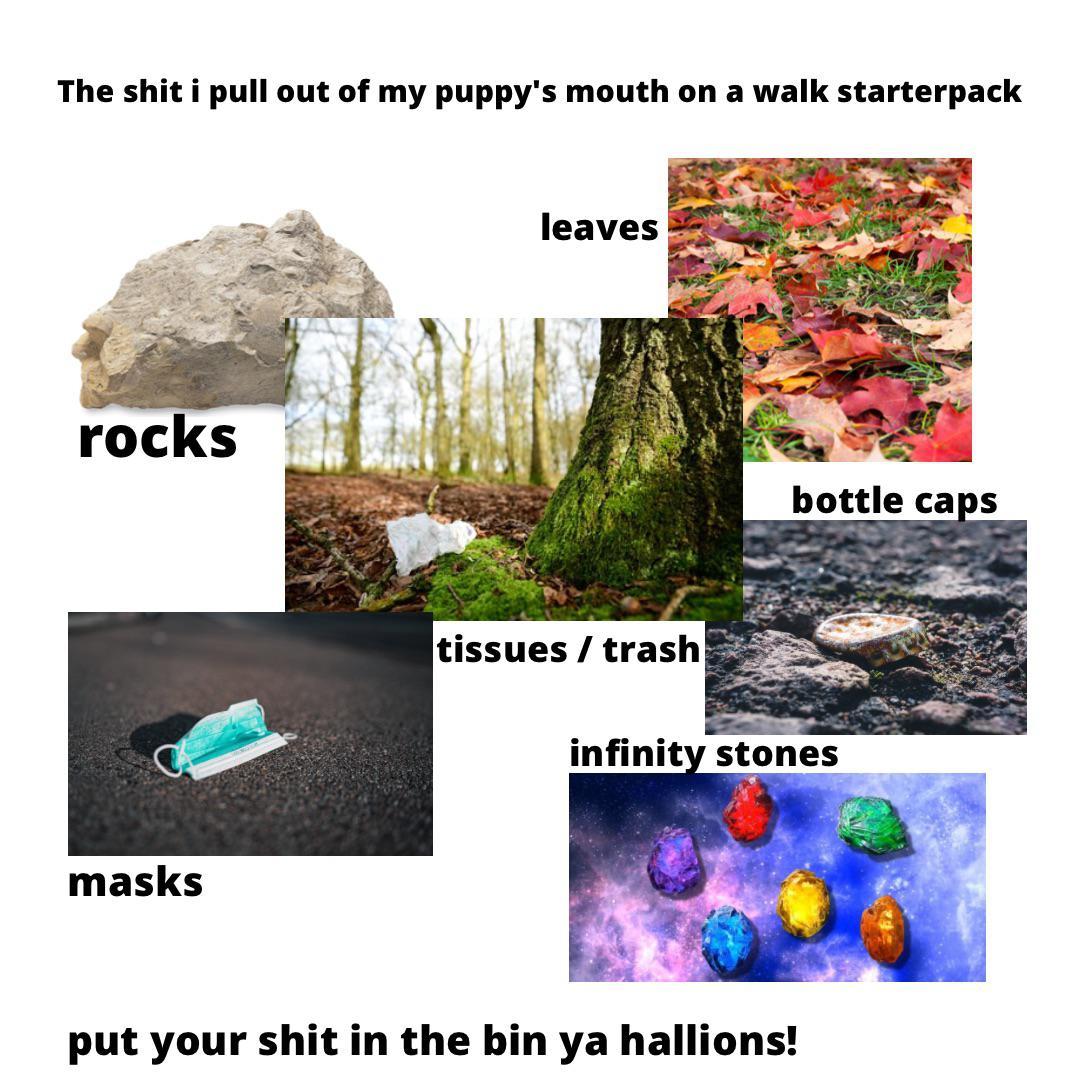 The shit I pull out of puppy’s mouth on a walk starter pack | /r ...