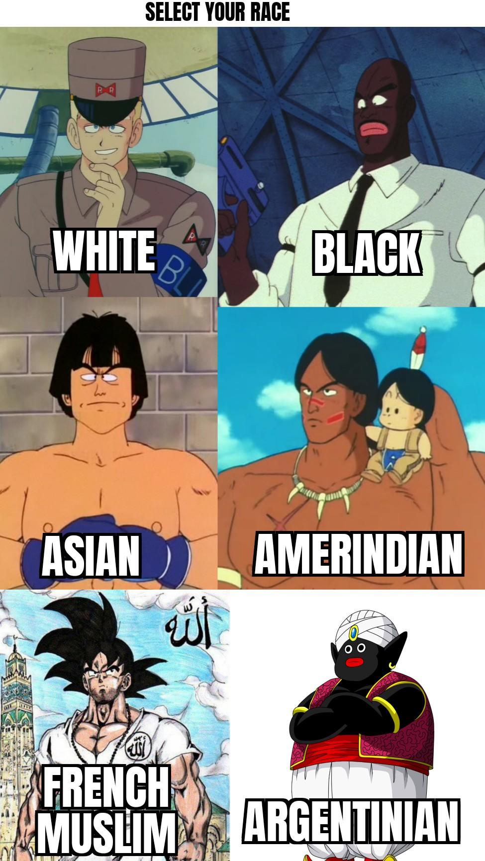 Select Your Race | Dragon Ball | Know Your Meme
