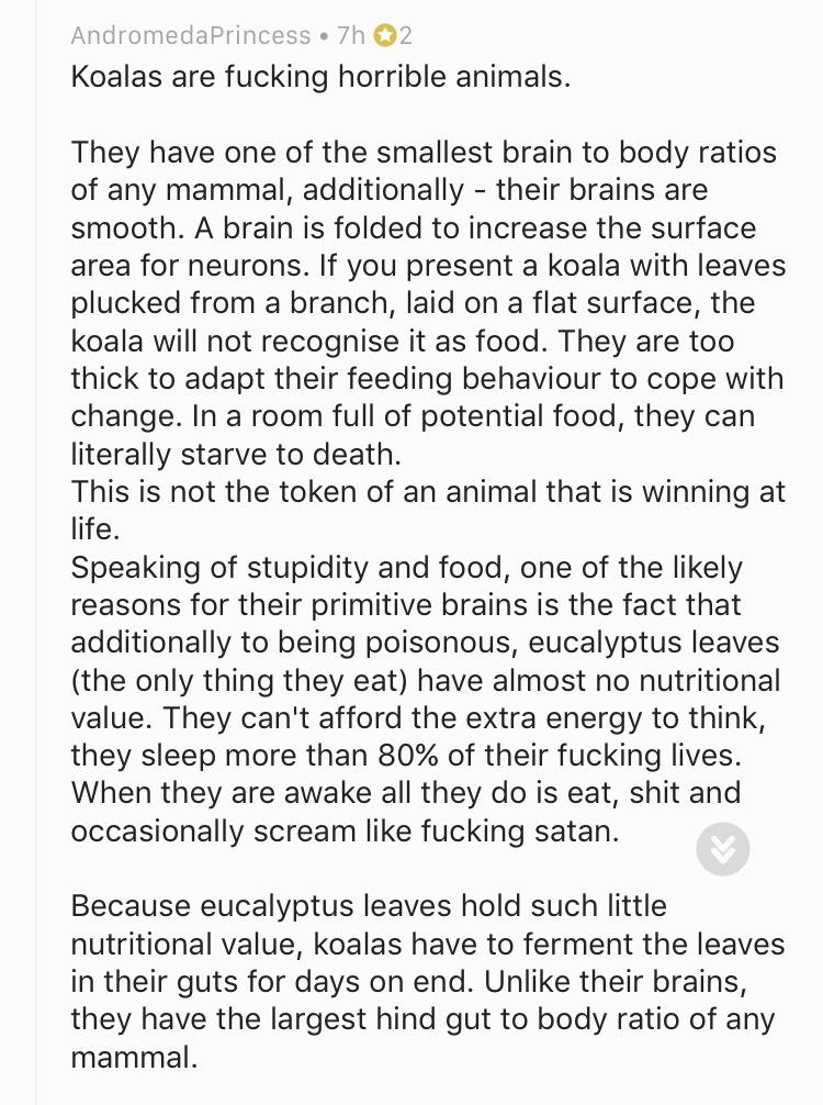 Image Version | Koala Copypasta | Know Your Meme