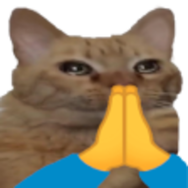 Cat Prayge | Prayge | Know Your Meme