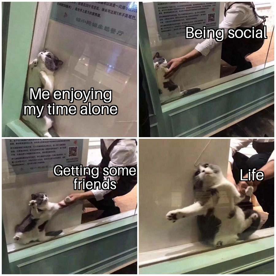 It's a Cruel World | Know Your Meme