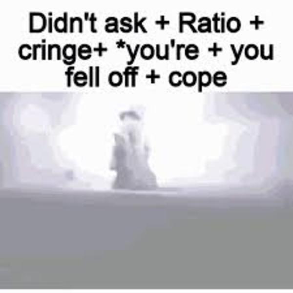 ratio | L + Ratio + You X | Know Your Meme