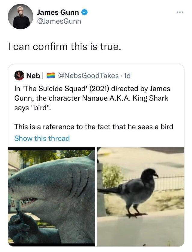 It's Been Confirmed | Know Your Meme