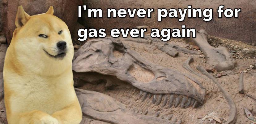 Le dinosaur has arrived | /r/dogelore | Ironic Doge Memes | Know Your Meme