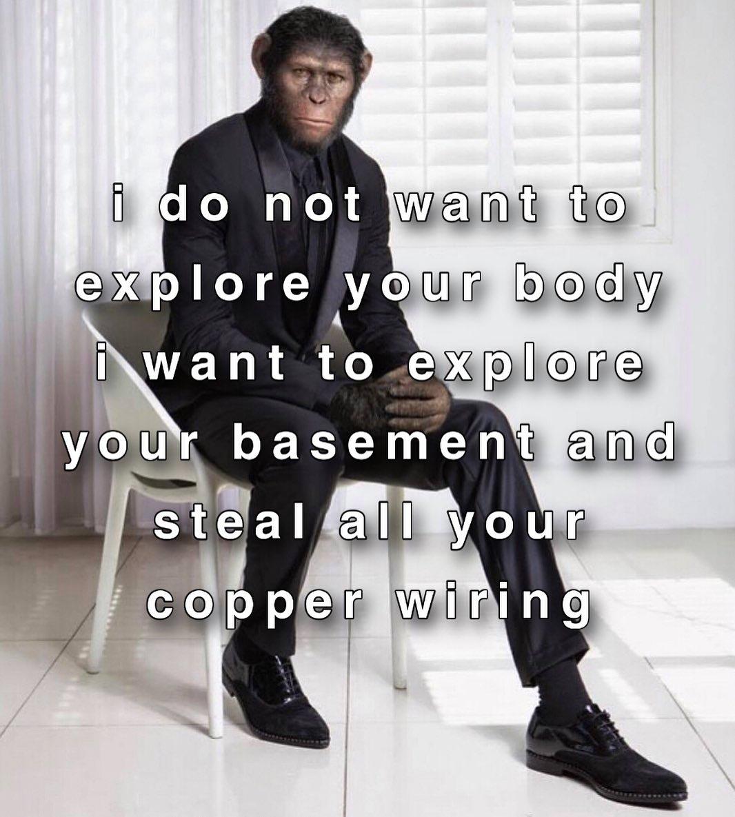 Stealing Copper Wiring meme | Copper Wiring | Know Your Meme Stealing Copper Wiring meme | Copper Wiring | Know Your Meme