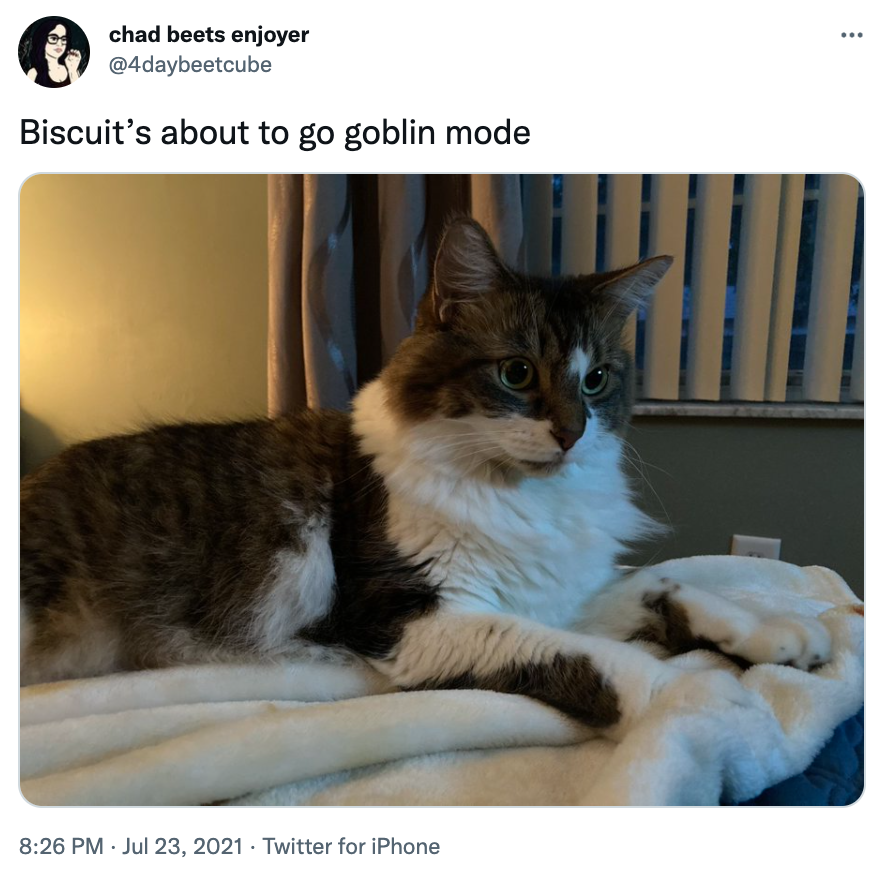 Biscuit | Goblin Mode | Know Your Meme