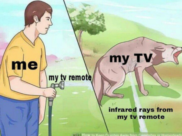 me, my tv | Wikihow Dog Sprayed By Hose | Know Your Meme