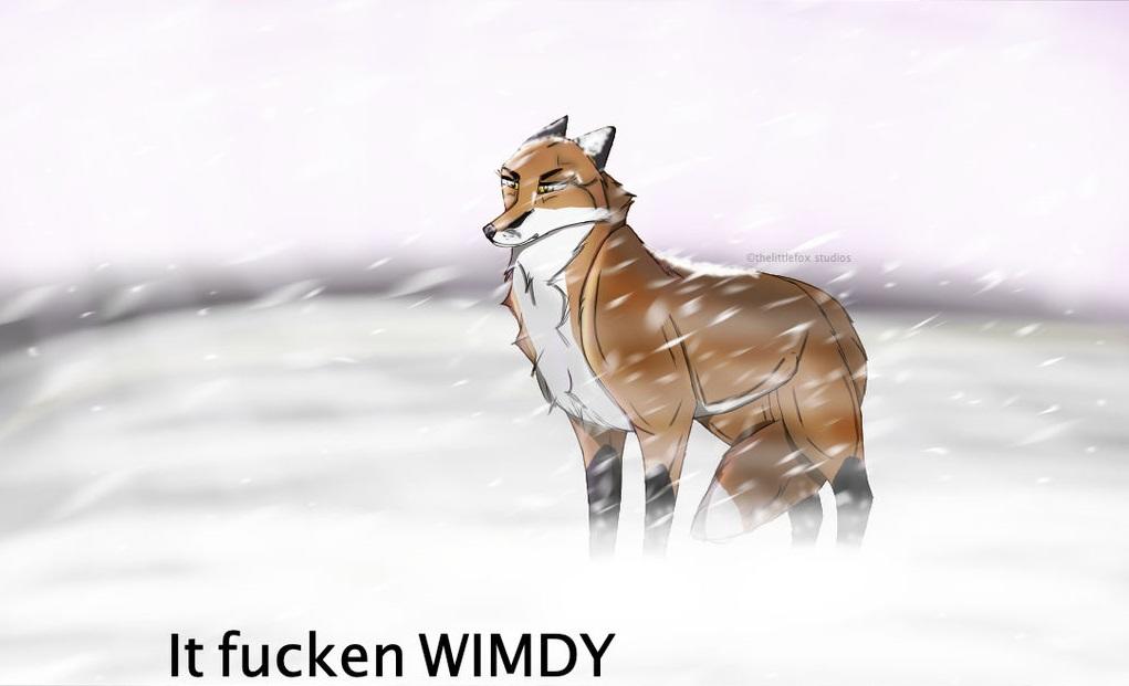 thelittlefox-studios redraw | It Fucken Wimdy | Know Your Meme