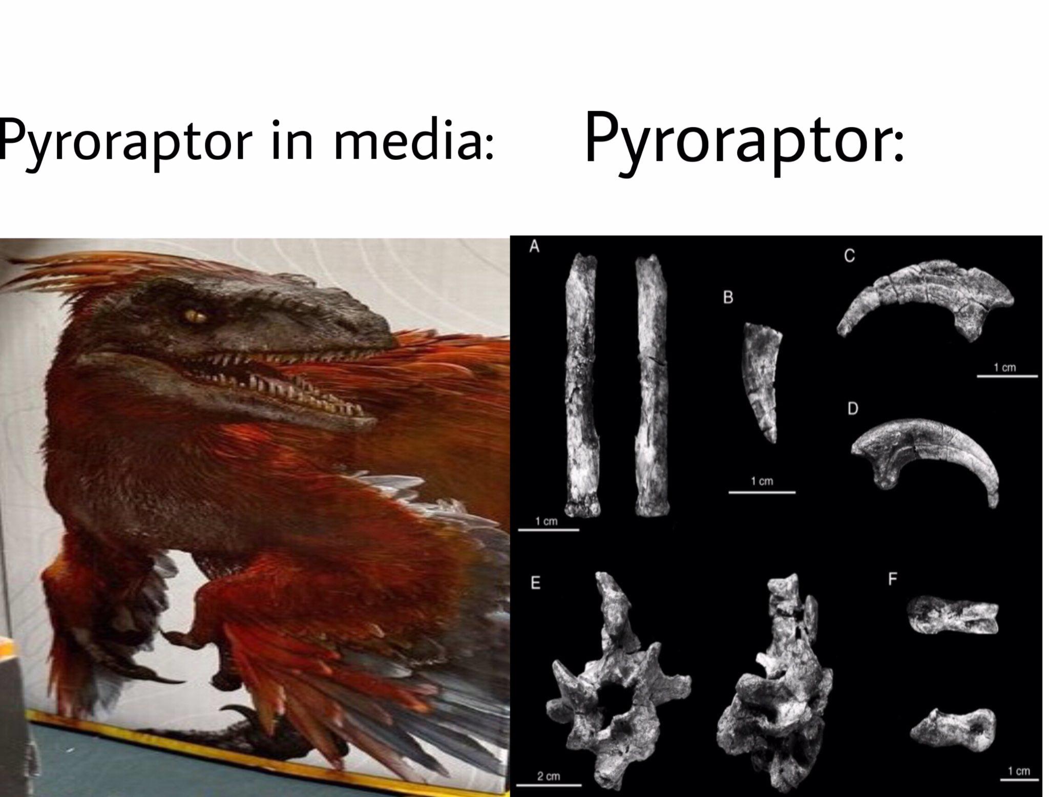Pyroraptor Jurassic world vs fossil | Jurassic Park | Know Your Meme