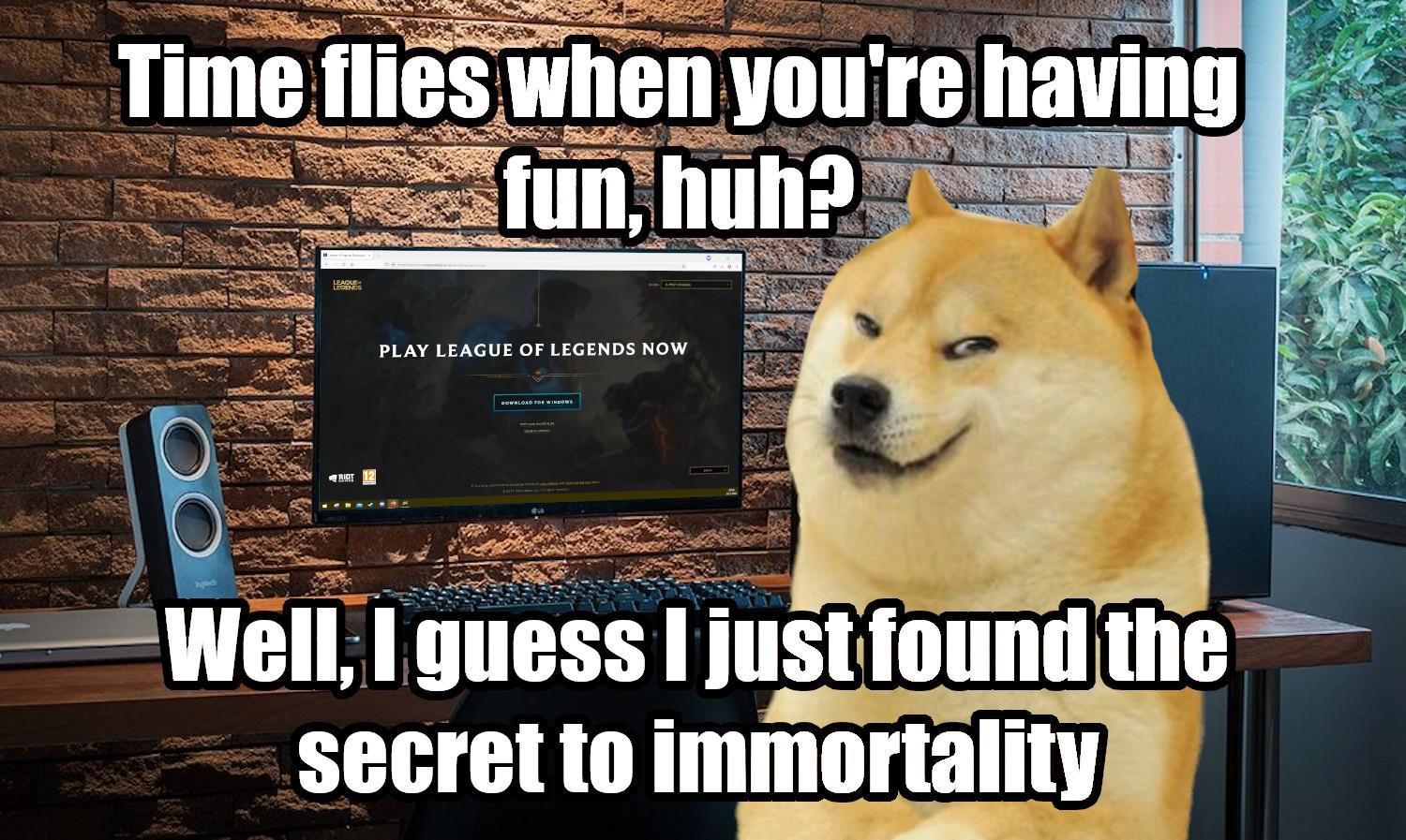 Le regrettable decision has arrived | /r/dogelore | Ironic Doge Memes ...