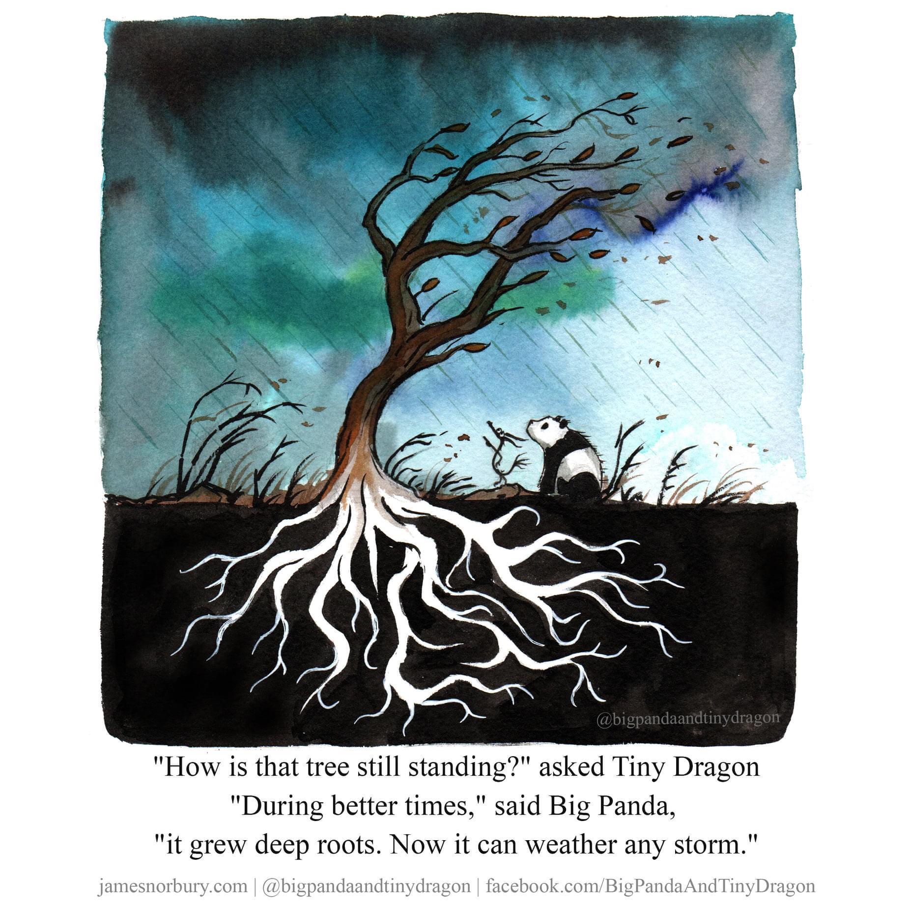 Grow deep roots | /r/wholesomememes | Wholesome Memes | Know Your Meme