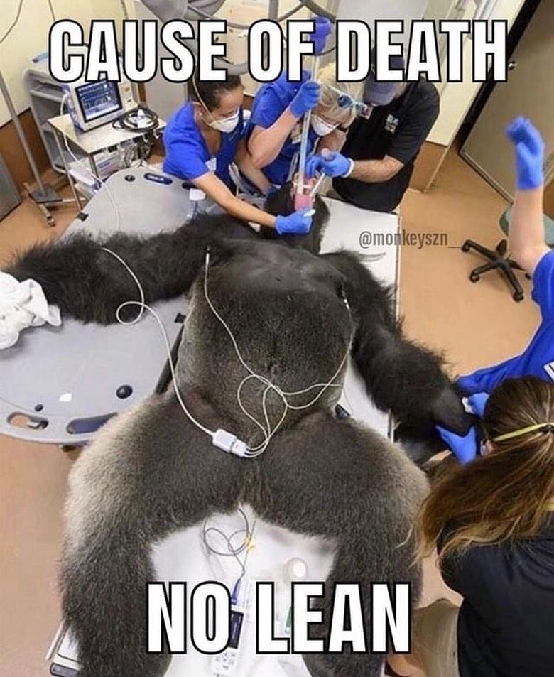 cause of death: no lean | I Love Lean!!! | Know Your Meme