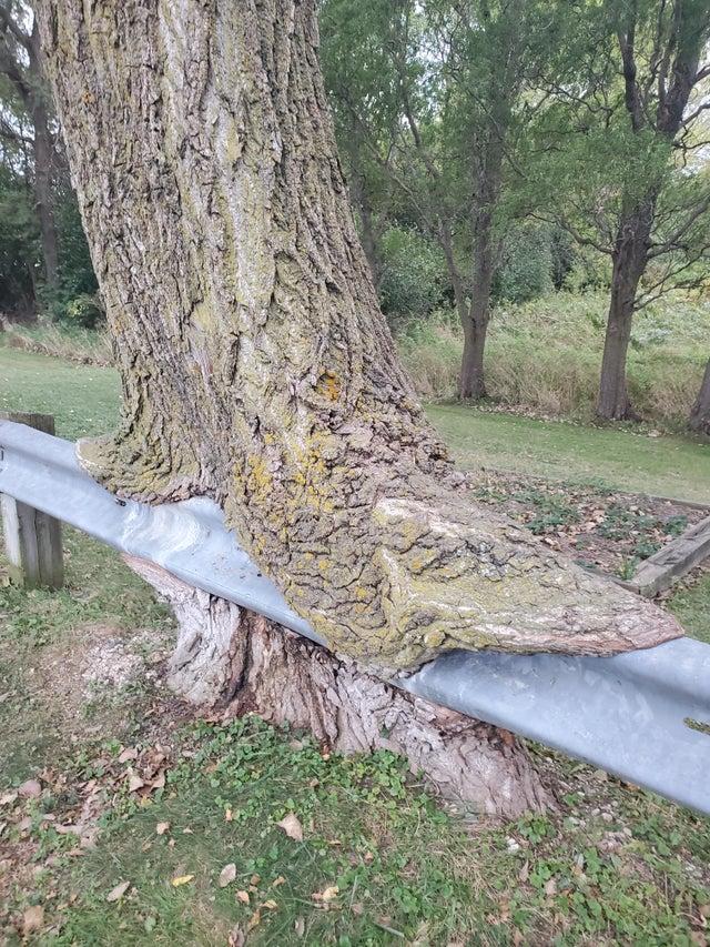 Guard Rail | Know Your Meme