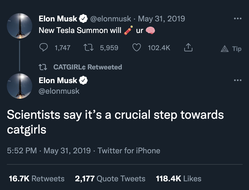 Elon Musk Cat Girl Tweet | Not cat girl | Know Your Meme