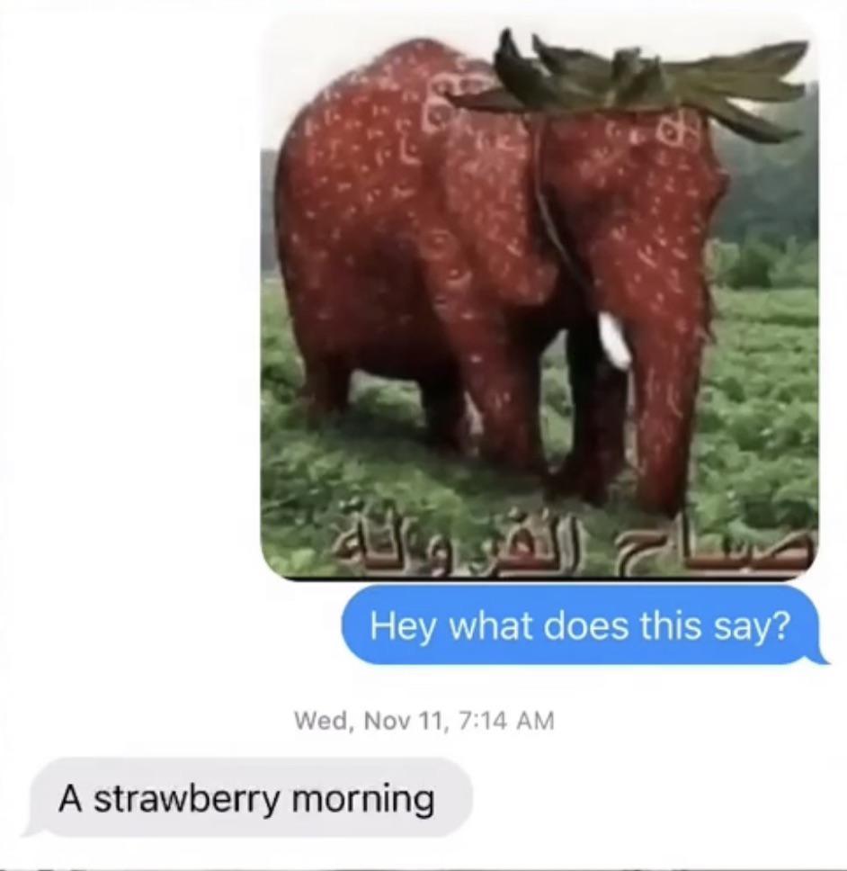 strawberry morning elephant | Arabic Strawberry Elephant | Know Your Meme